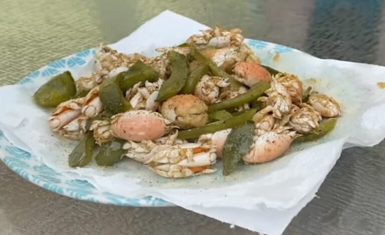 Can You Eat Sand Fleas? | Y-L-P-C